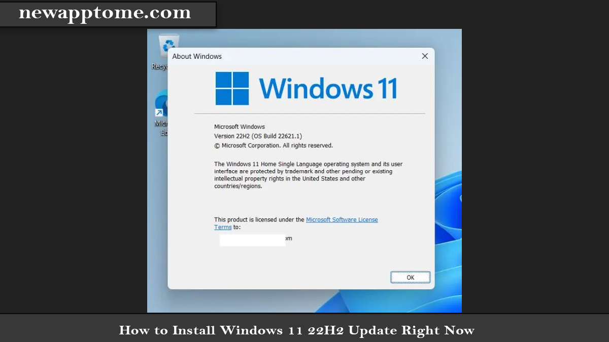 How to Install Windows 11 22H2 Update Right Now - newapptome.com