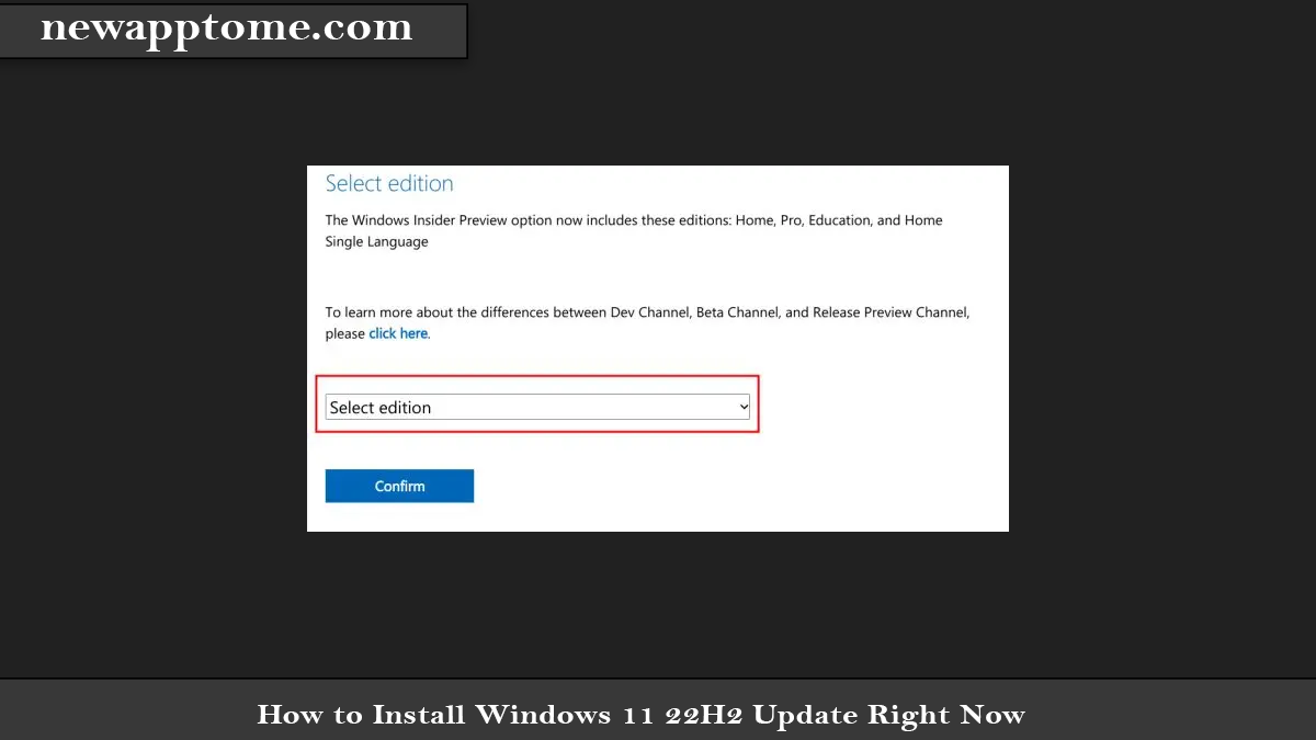 How to Install Windows 11 22H2 Update Right Now - newapptome.com