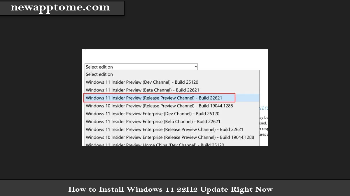 How to Install Windows 11 22H2 Update Right Now - newapptome.com