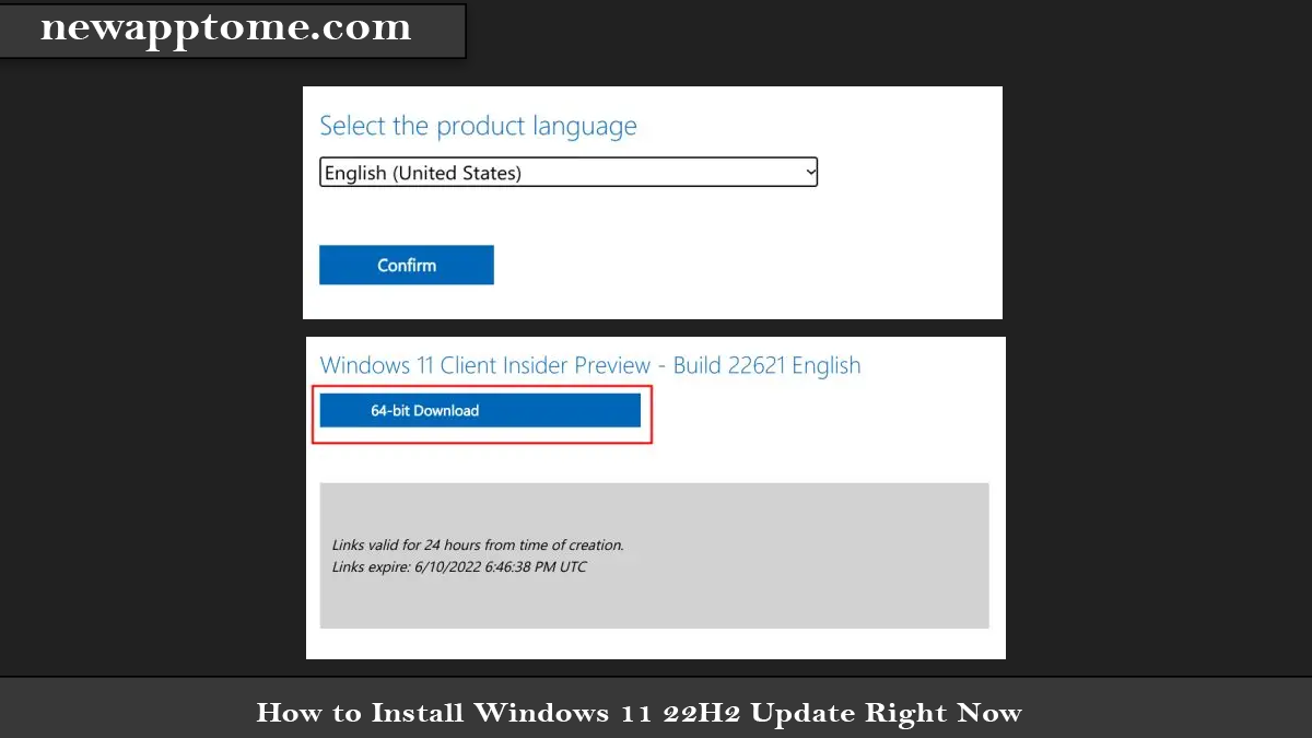 How to Install Windows 11 22H2 Update Right Now - newapptome.com