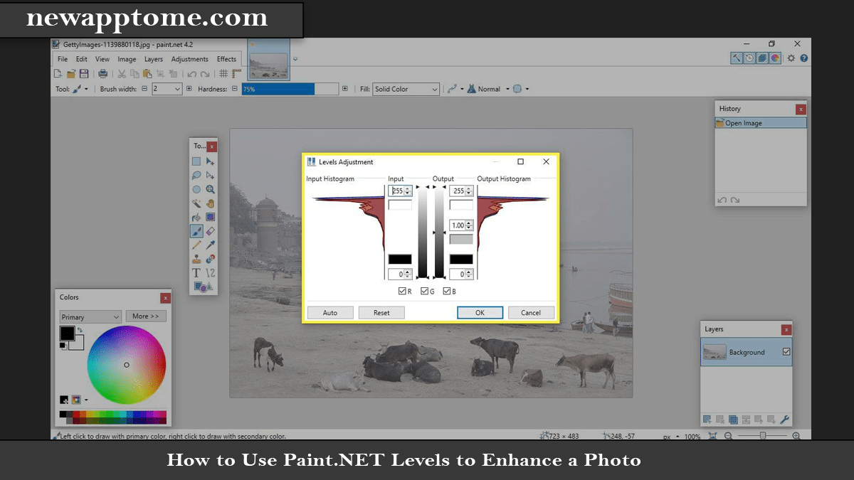 Paint.Net How to Use Best 2025 - newapptome.com