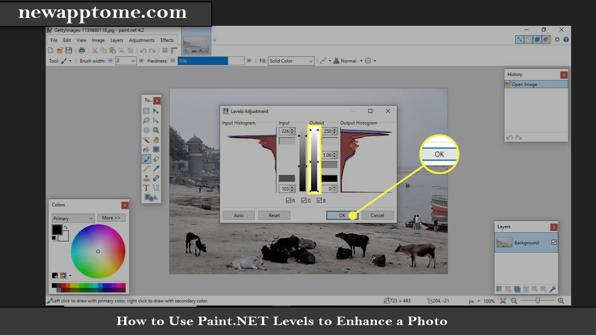 Paint.Net How to Use Best 2025 - newapptome.com